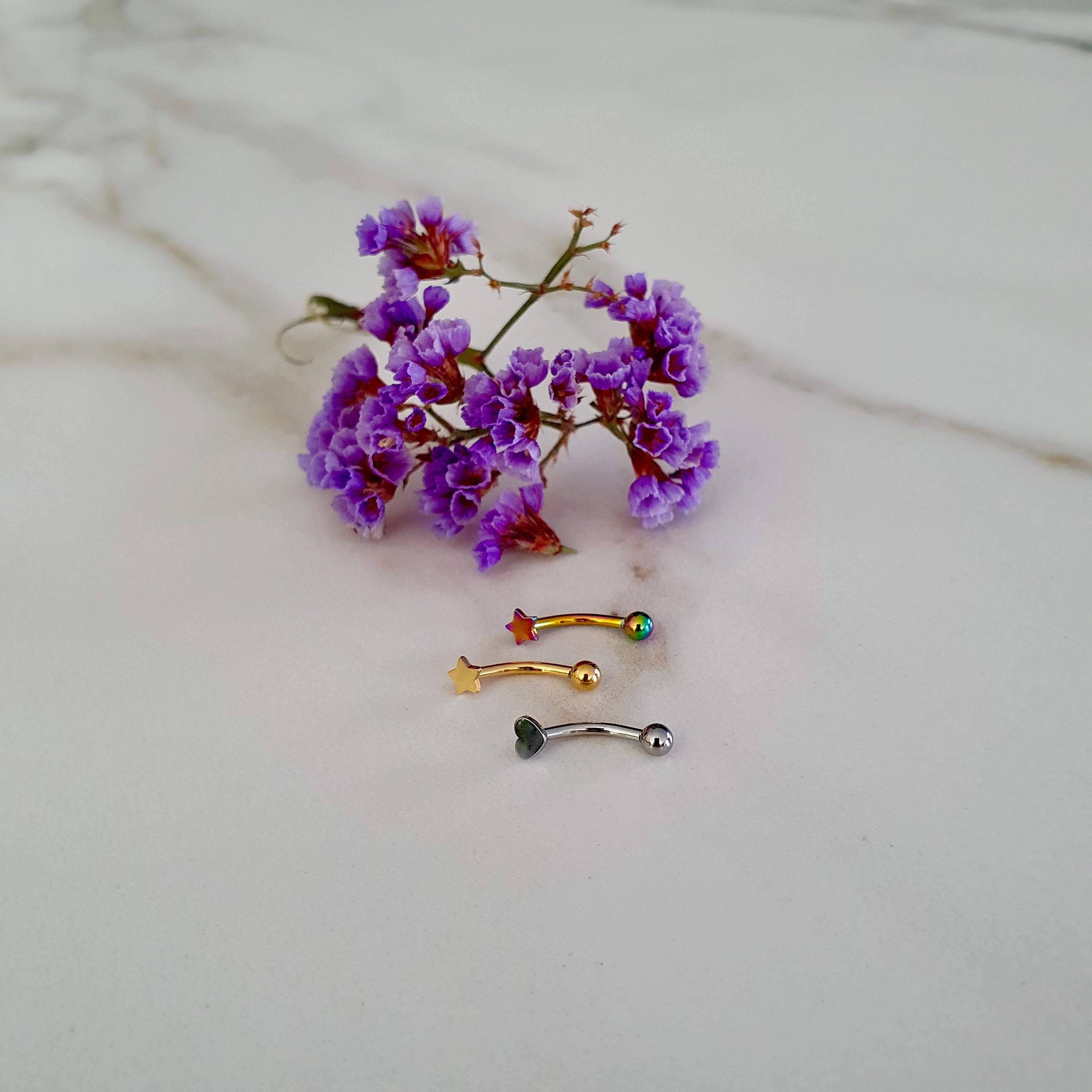 Titanium Rook, Brow Piercing, Star, Heart, Body Piercings – Beautiful ...